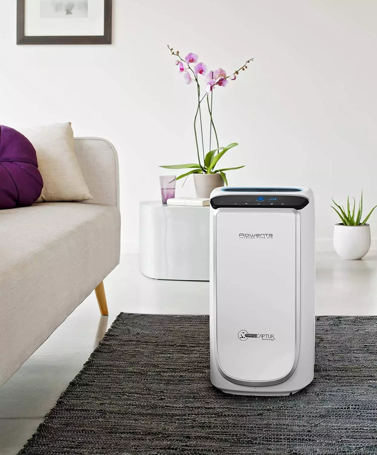 Rowenta Air Purifier នៅលើ Amazon