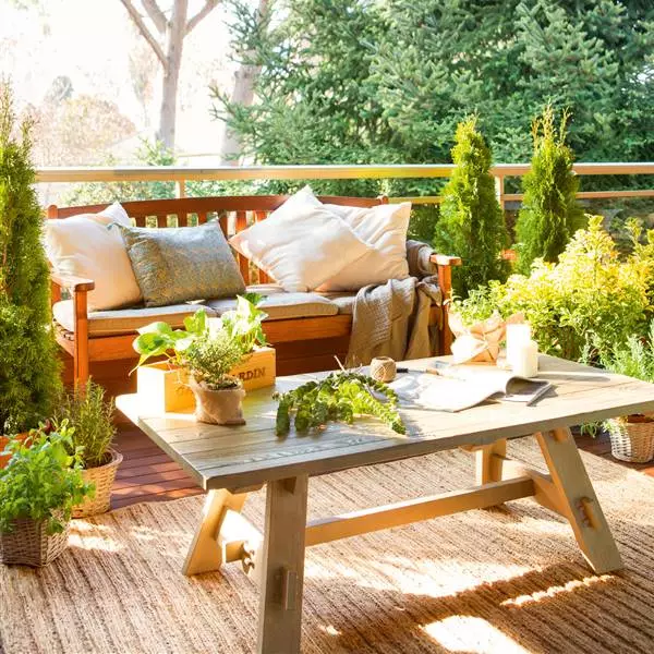 10 perfekte Bäume für Ihre Terrasse