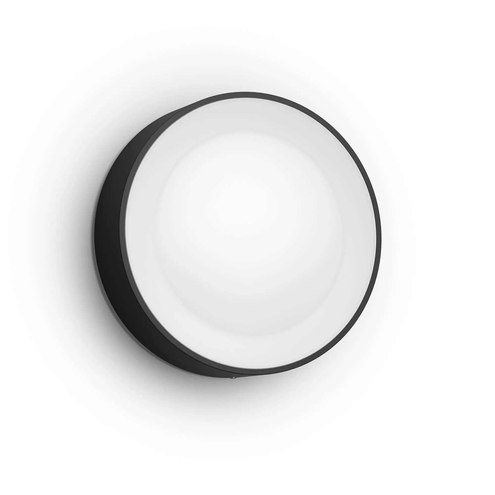 Philips Hue Daylo - negro