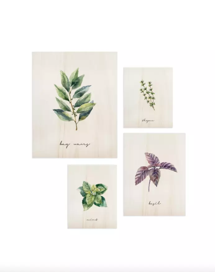 Maisons du Monde Plant Frames Pack