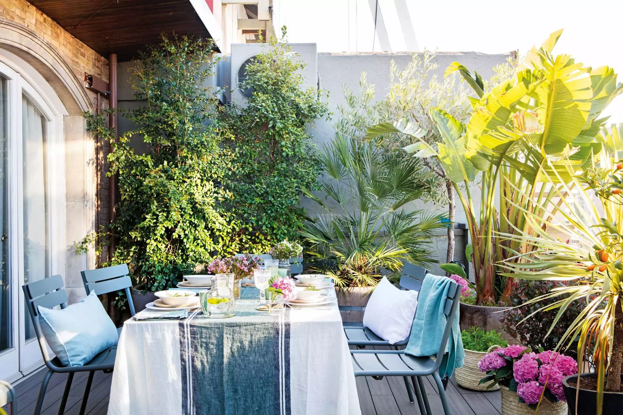 terrace-with-dining-room-and-plants 00504030 O