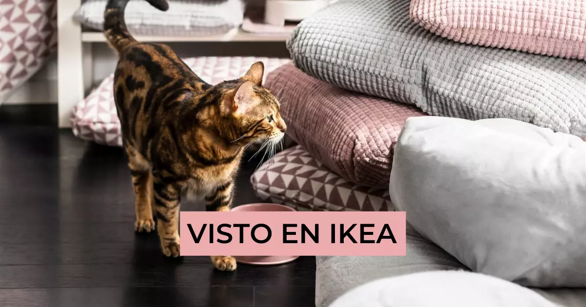 Fitaovana IKEA ho an'ny biby fiompy. Ho lasa adala amin'ny hafaliana izy ireo!