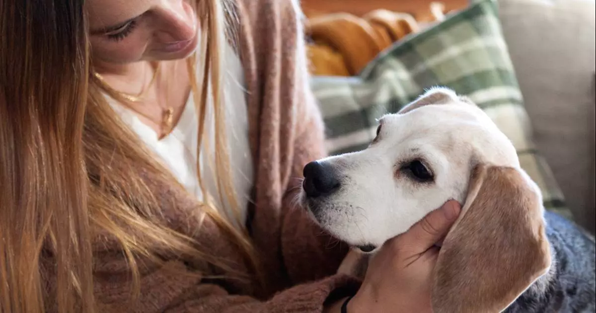 10 speelgoed vir honde en katte wat ure se pret waarborg