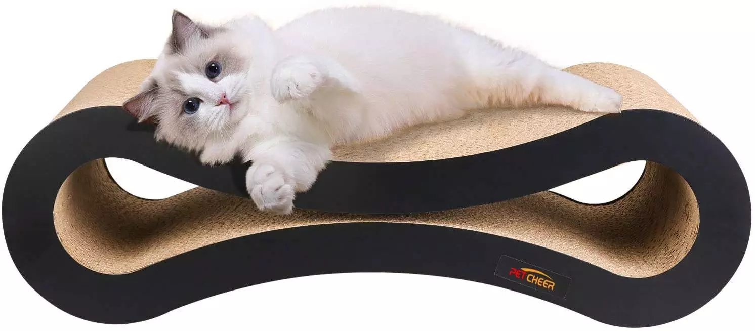 Cat Scratcher Bett Amazon