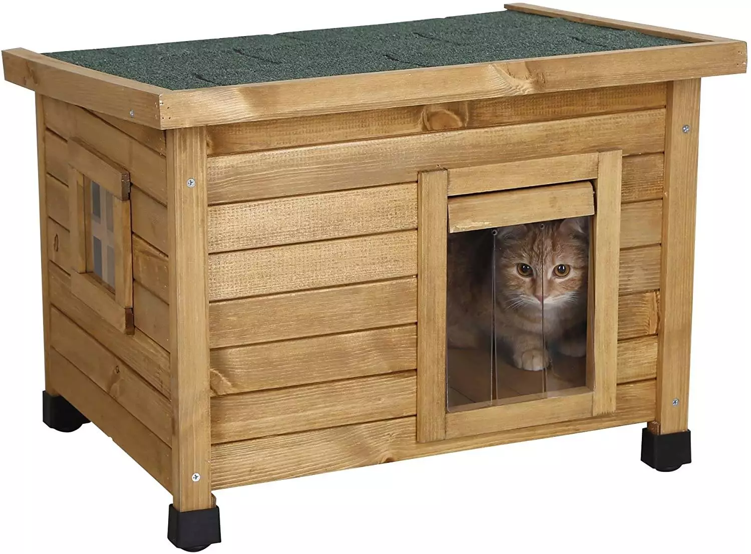 Amazon Outdoor Kaz kennel