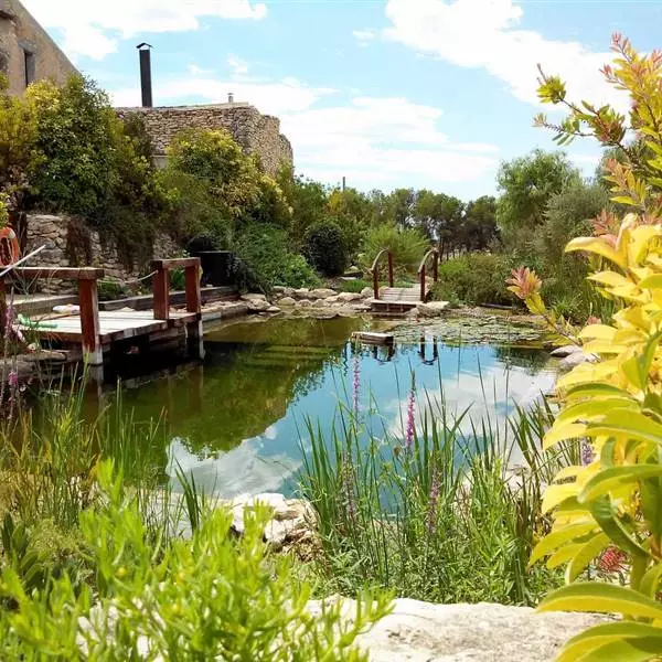 pools-naturali-ekoloġiċi-10