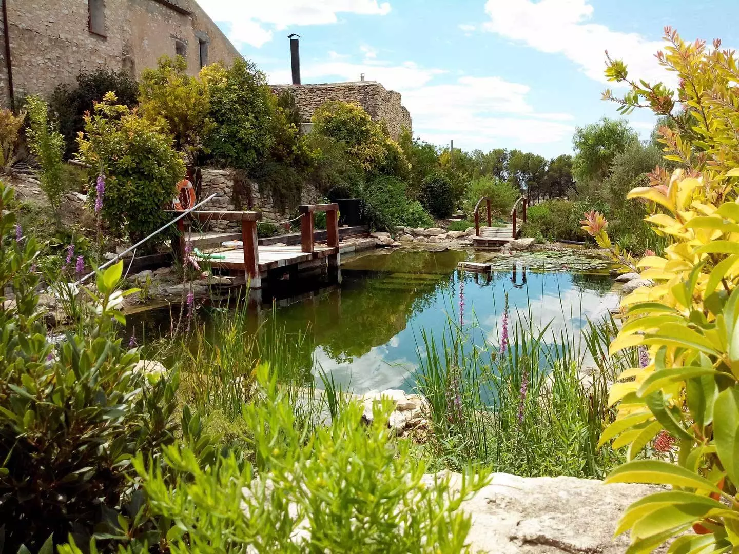 Pixxini naturali: banju ekoloġiku, b'saħħtu u sostenibbli 1749_2