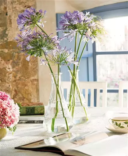 Plante jo maitiidsbollen en genietsje fan har blommen yn 'e simmer 1927_1