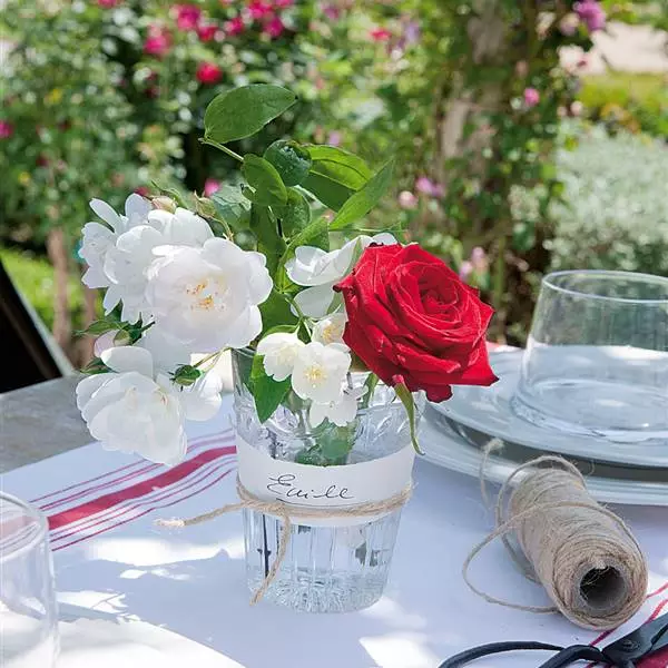 red rose and climbing rose