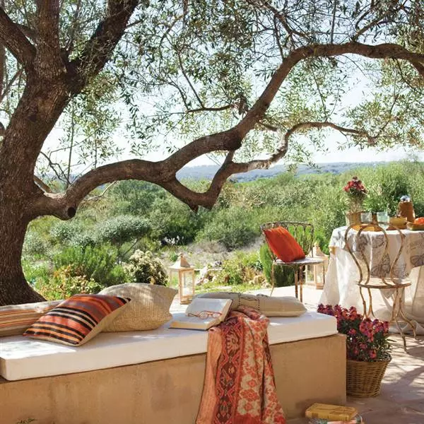 Garten mit Bank und Tisch unter dem Olivenbaum