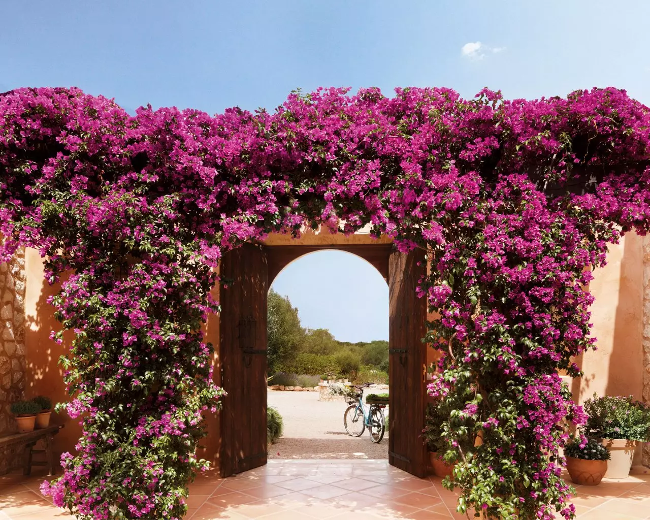 Ik bin berne yn 'e Middellânske See ... en ik dreamde fan dit prachtige hûs omjûn troch bougainvillea 2315_7