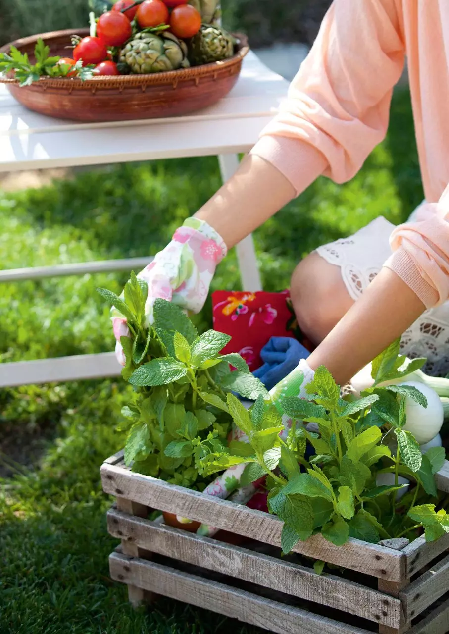 Eco-tips om minder te besteegjen 2318_7