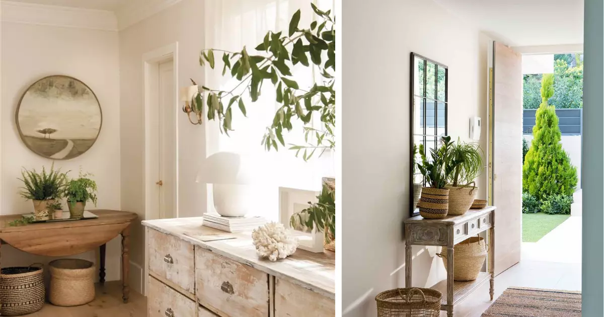 How to decorate and what to put in the hall according to Feng Shui according to experts