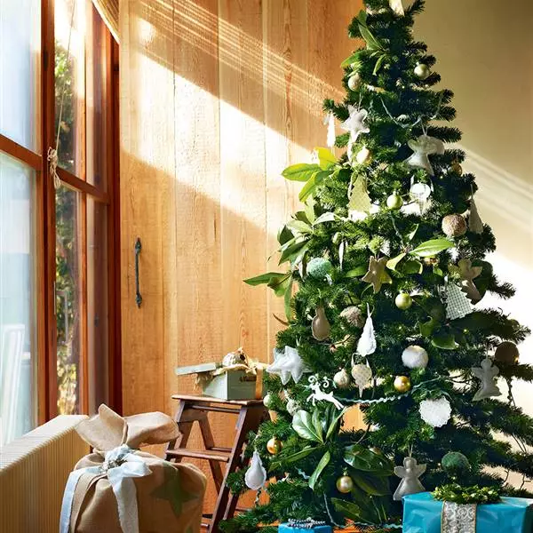 Fir tree in front of a window in a rustic setting