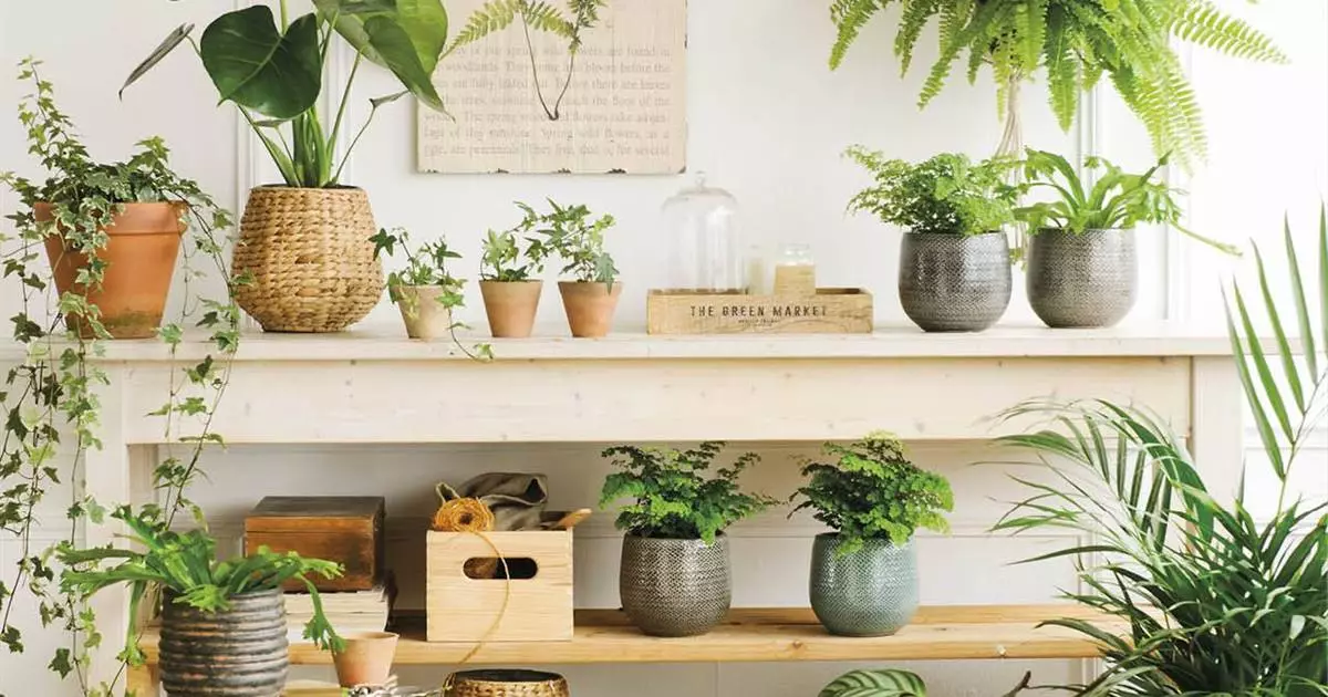 20 plantas e flores artificiais muito decorativas que gostamos