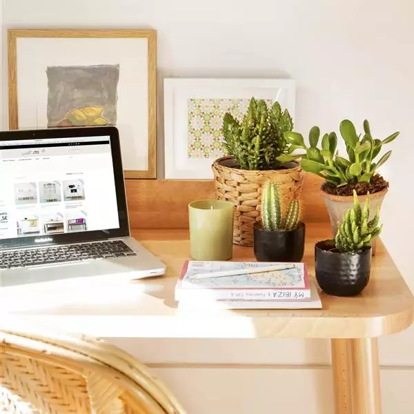 wood-desk-with-pictures-fiber-chair-cactus-with-pots-of-different-sizes-candle-and-laptop-computer1752x2000 fa9a3935 1752x2000