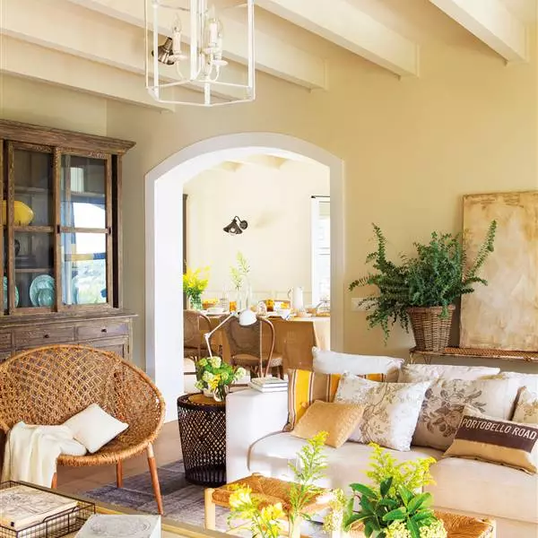 What color do I paint the living room? The experts answer