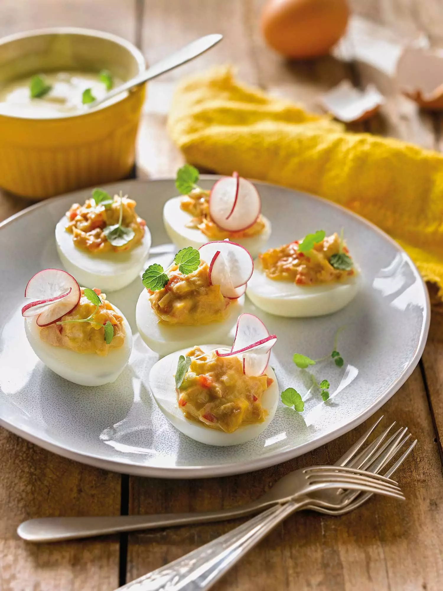 tupper-recettes-oeufs-farcis 00520538