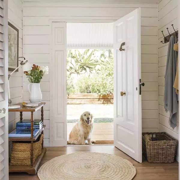 open door hall with dog 00458415