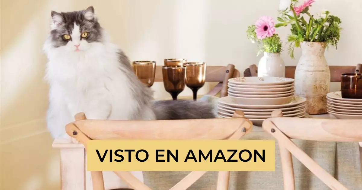 Heb je een kat? Dit zijn de meest merkwaardige producten die je op Amazon kunt vinden