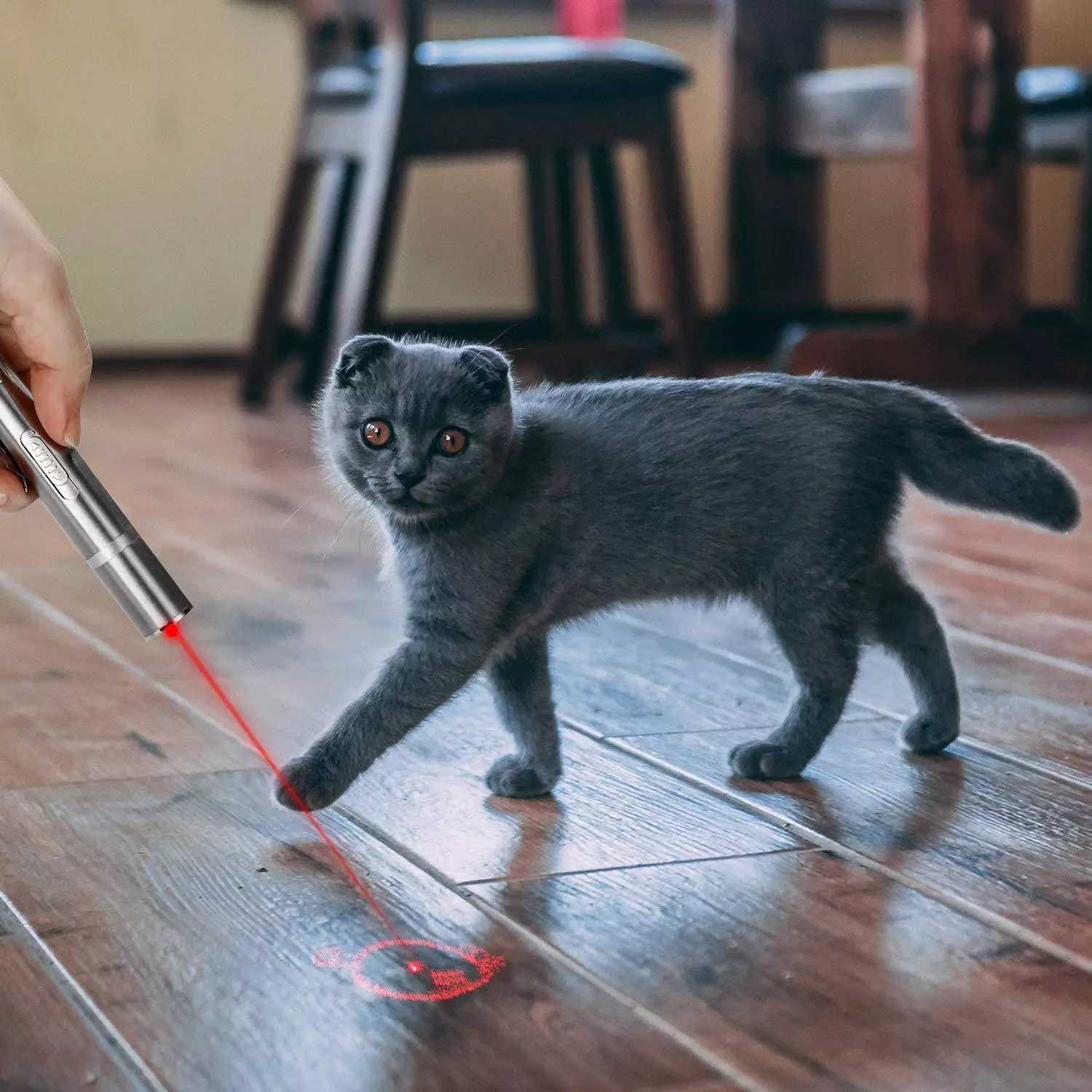 מצביע LED של Amazon Cat