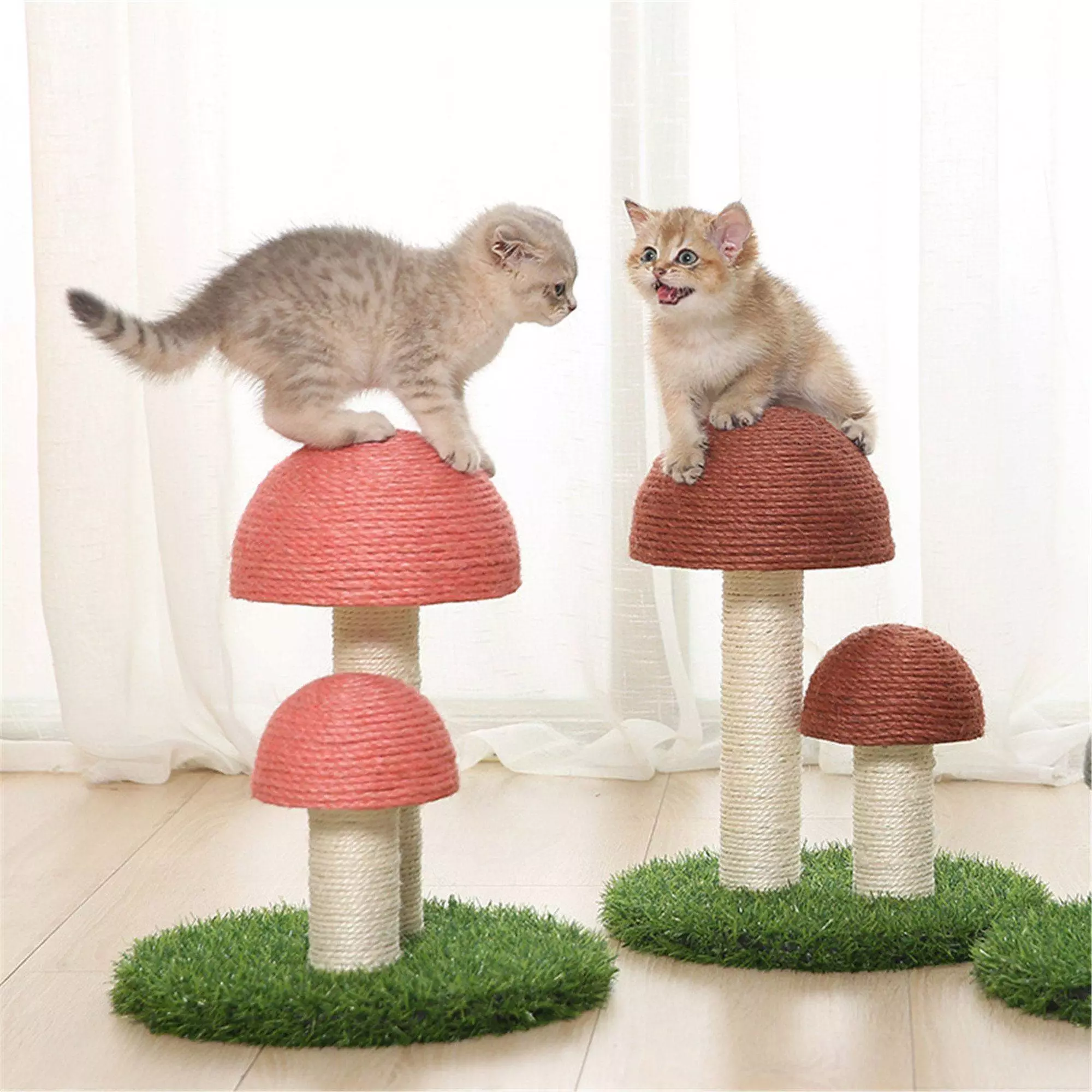 Amazone Mushroom Cat Scratcher