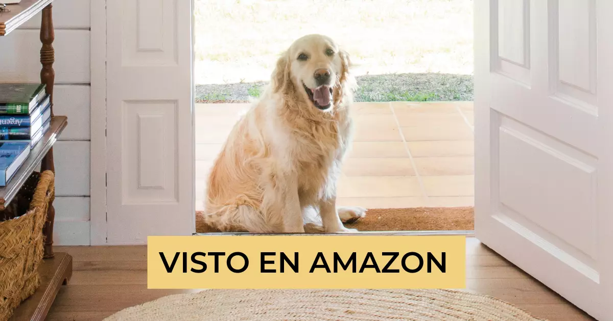 Els productes més curiosos per a gossos vistos a Amazon: al·lucinaràs! (i ells també)