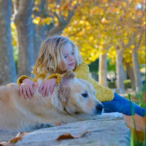 Cão e menina 391606