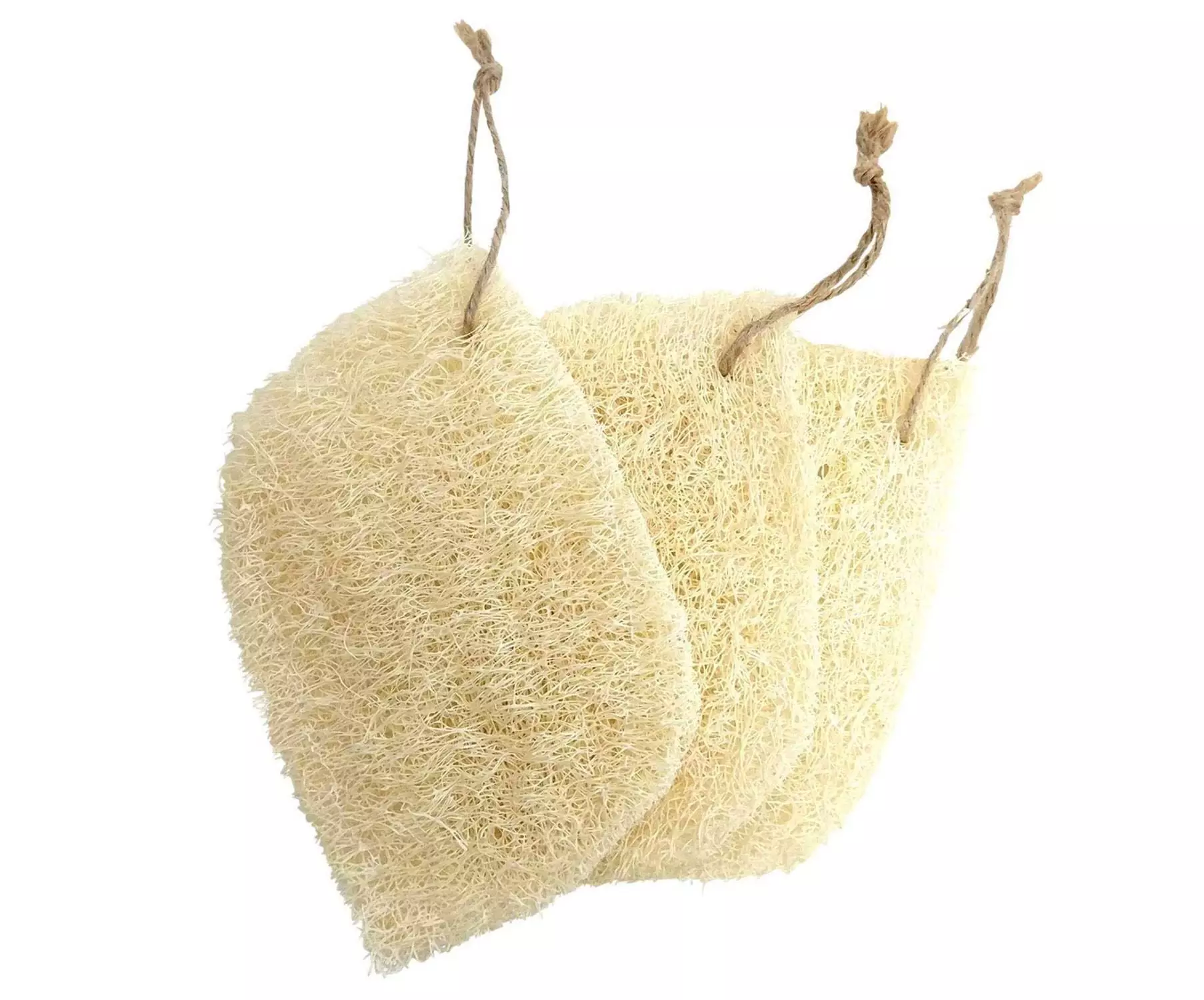 10.-loofah-luffa-vun-earthtopia