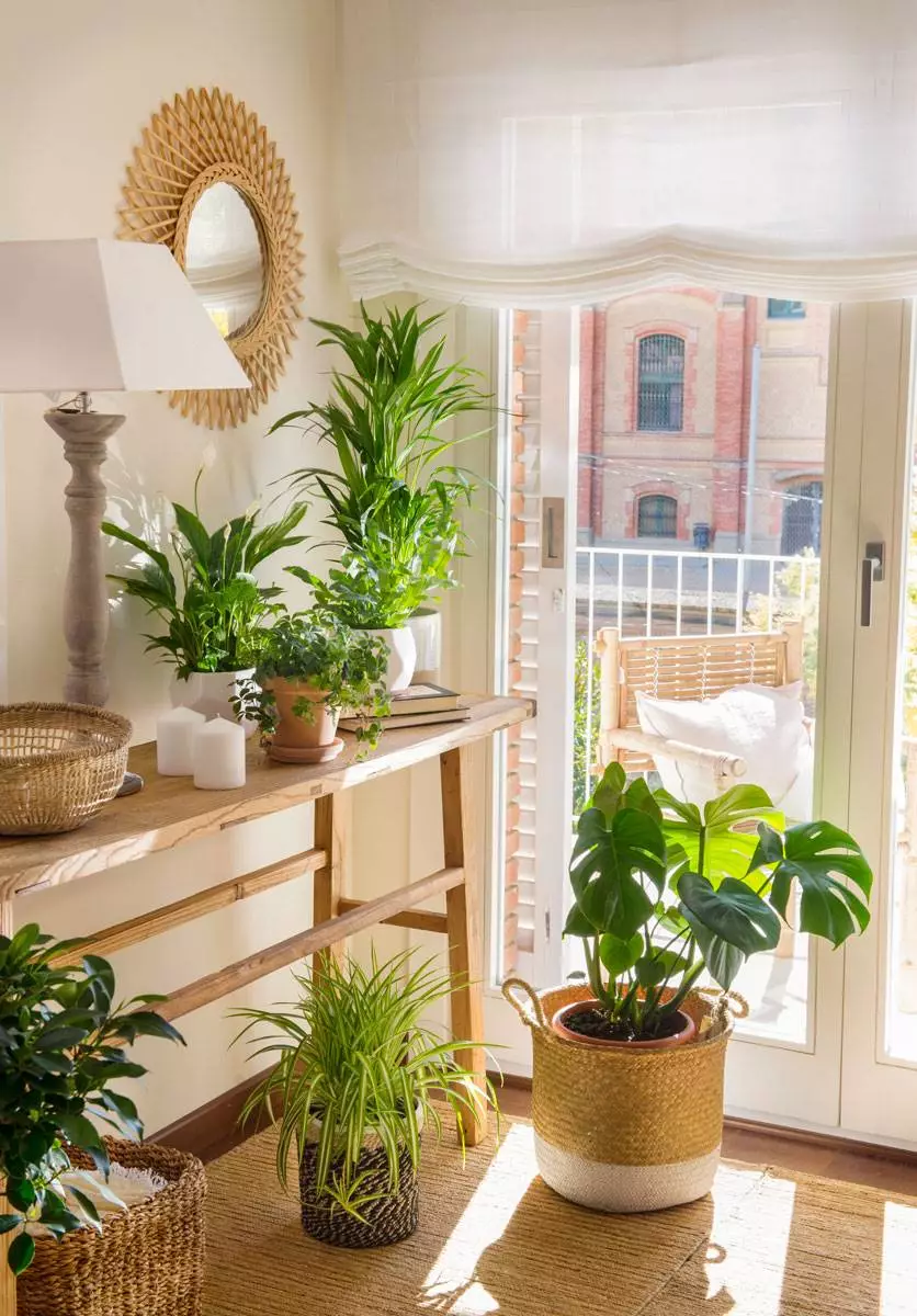 living-room-corner-with-wooden-console-decorated-with-plants-and-table-lamp 481965 O