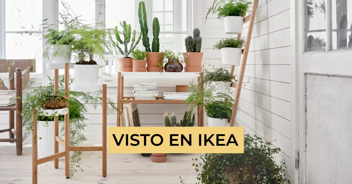 በ IKEA ውስጥ ተክሎች እና የአትክልት ስራዎች: ሊያመልጡዎት የማይችሉት ሁሉም ነገር