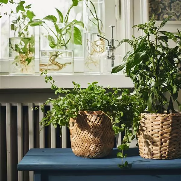 IKEA FRIDFULL plantenpot