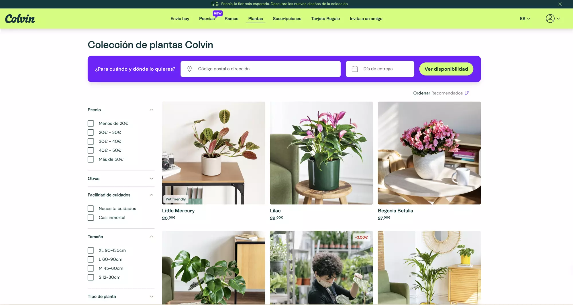 Wêr te keapjen planten online: Colvin.