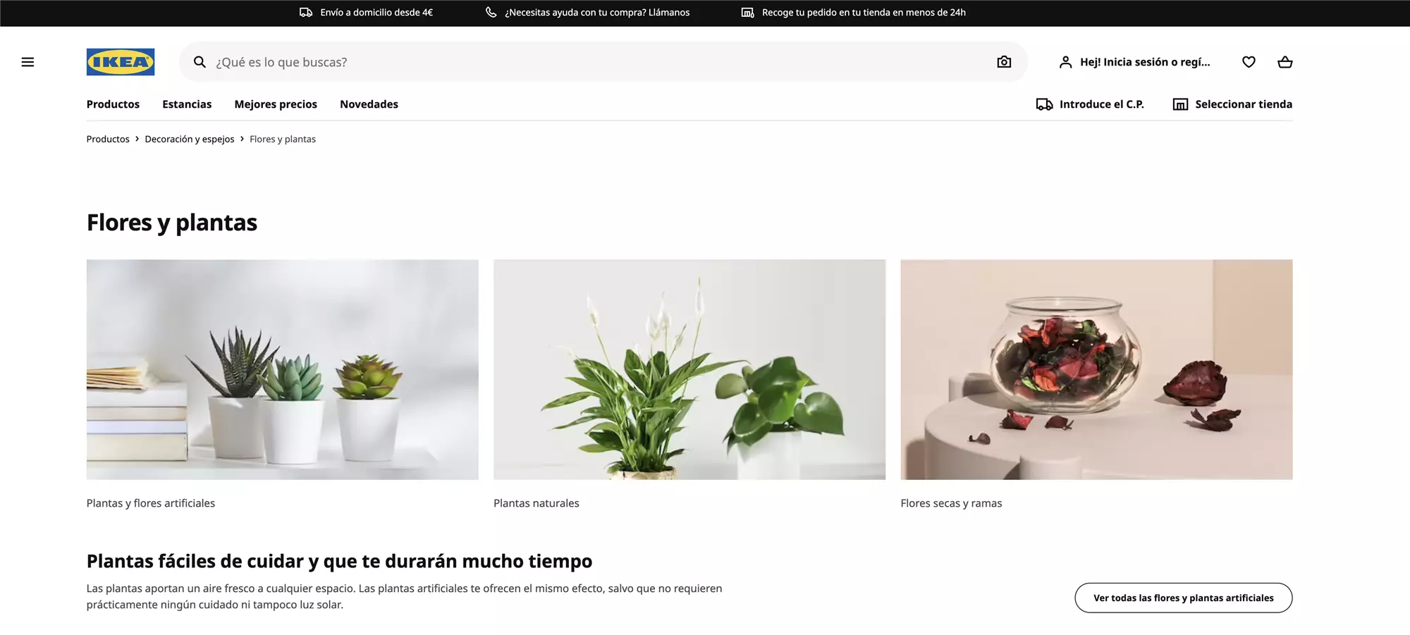 Wêr te keapjen planten online: Ikea.