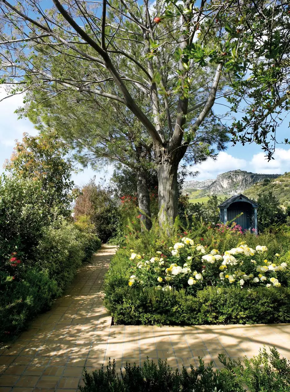 Percorso lungo gli alberi