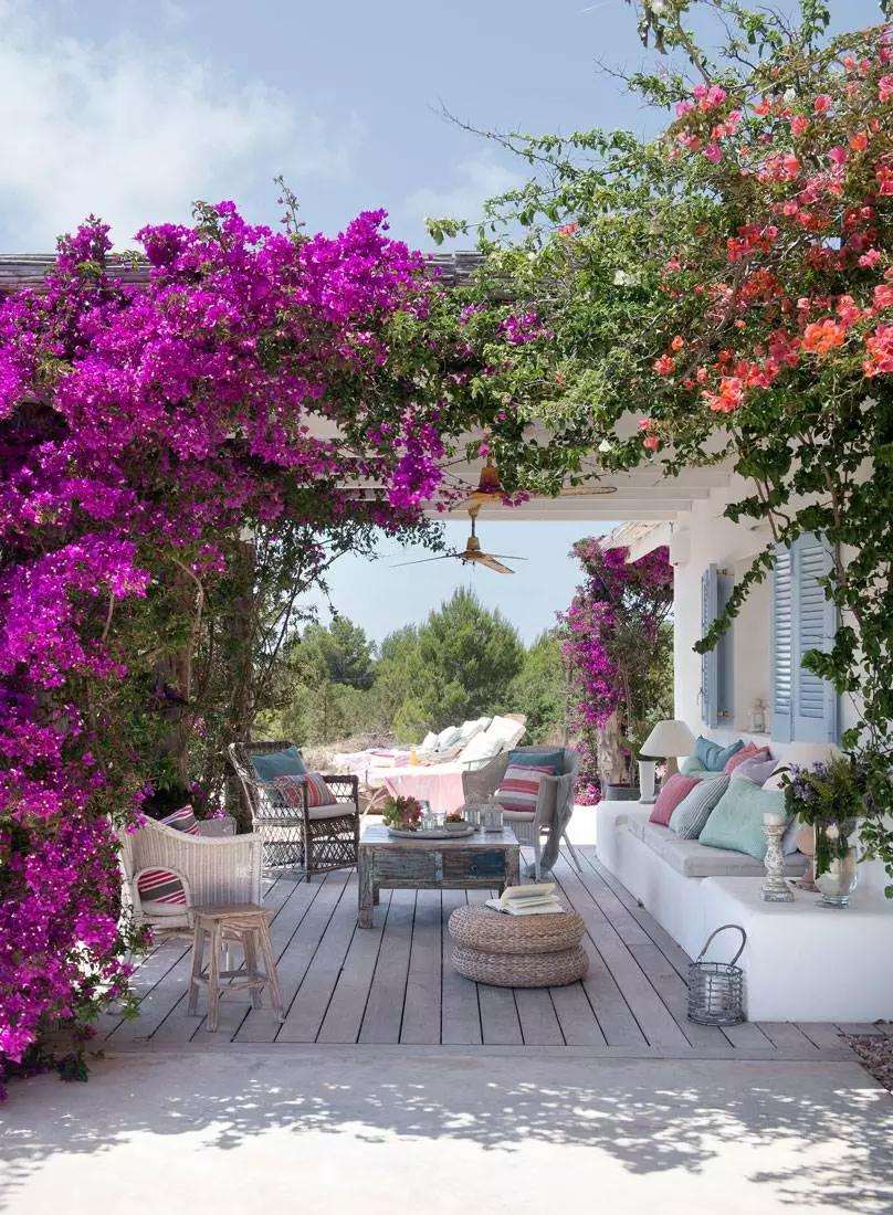 በረንዳ በ bougainvillea ያጌጠ