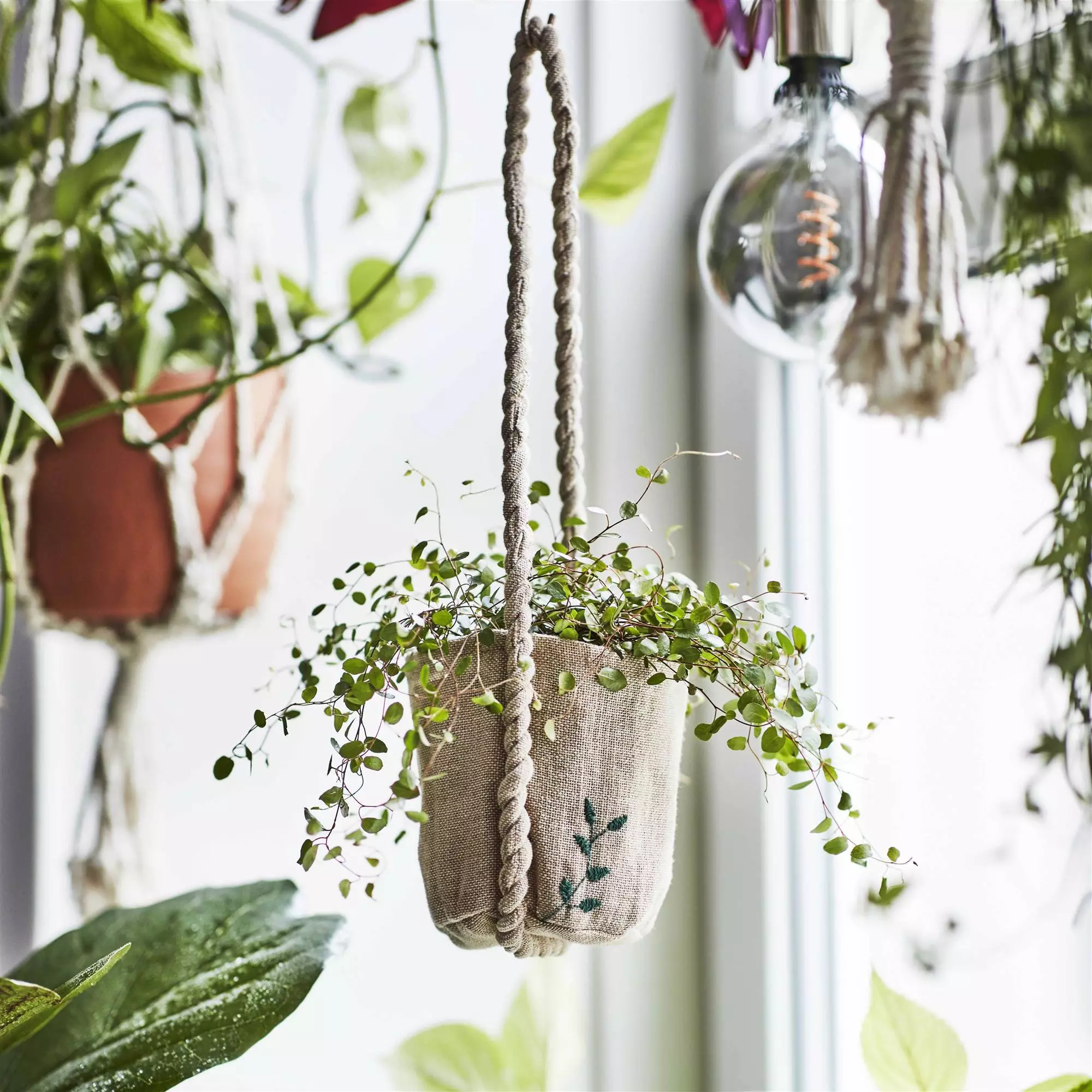 ikea-botanisk-collection-2020-PH167923-hanging-pot