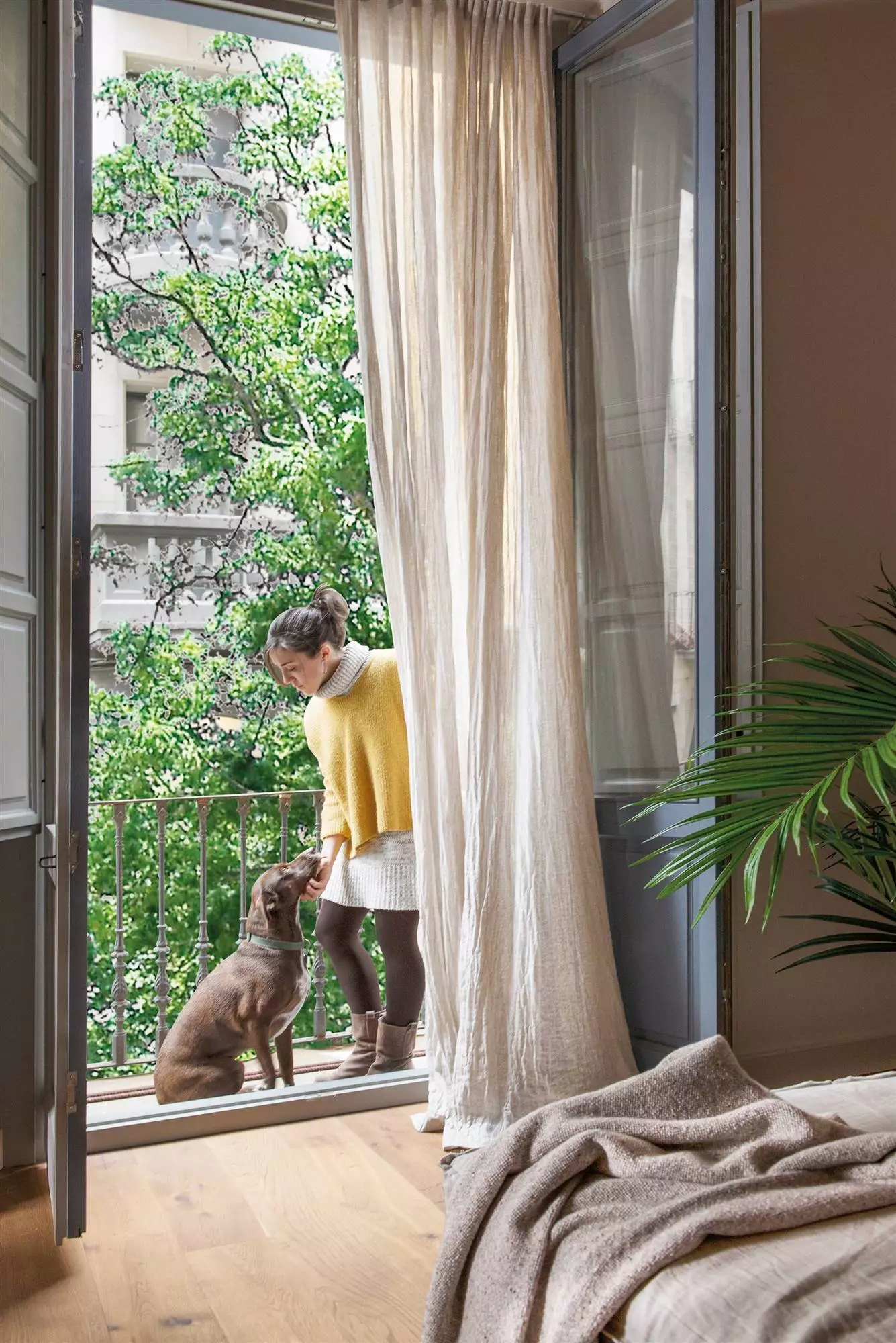 frau-mit-hund-auf-dem-balkon_00511528