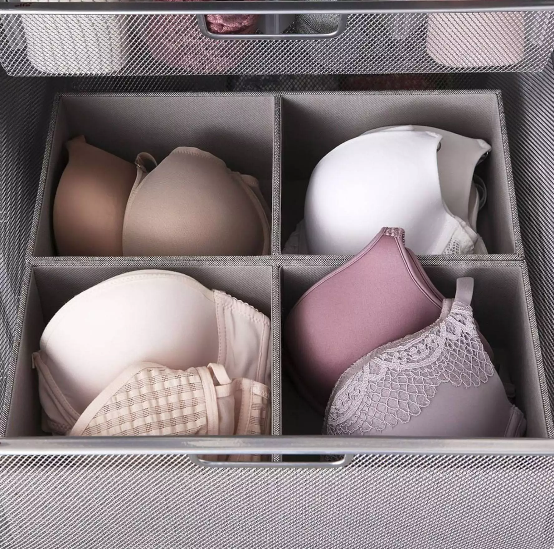 bras-organized