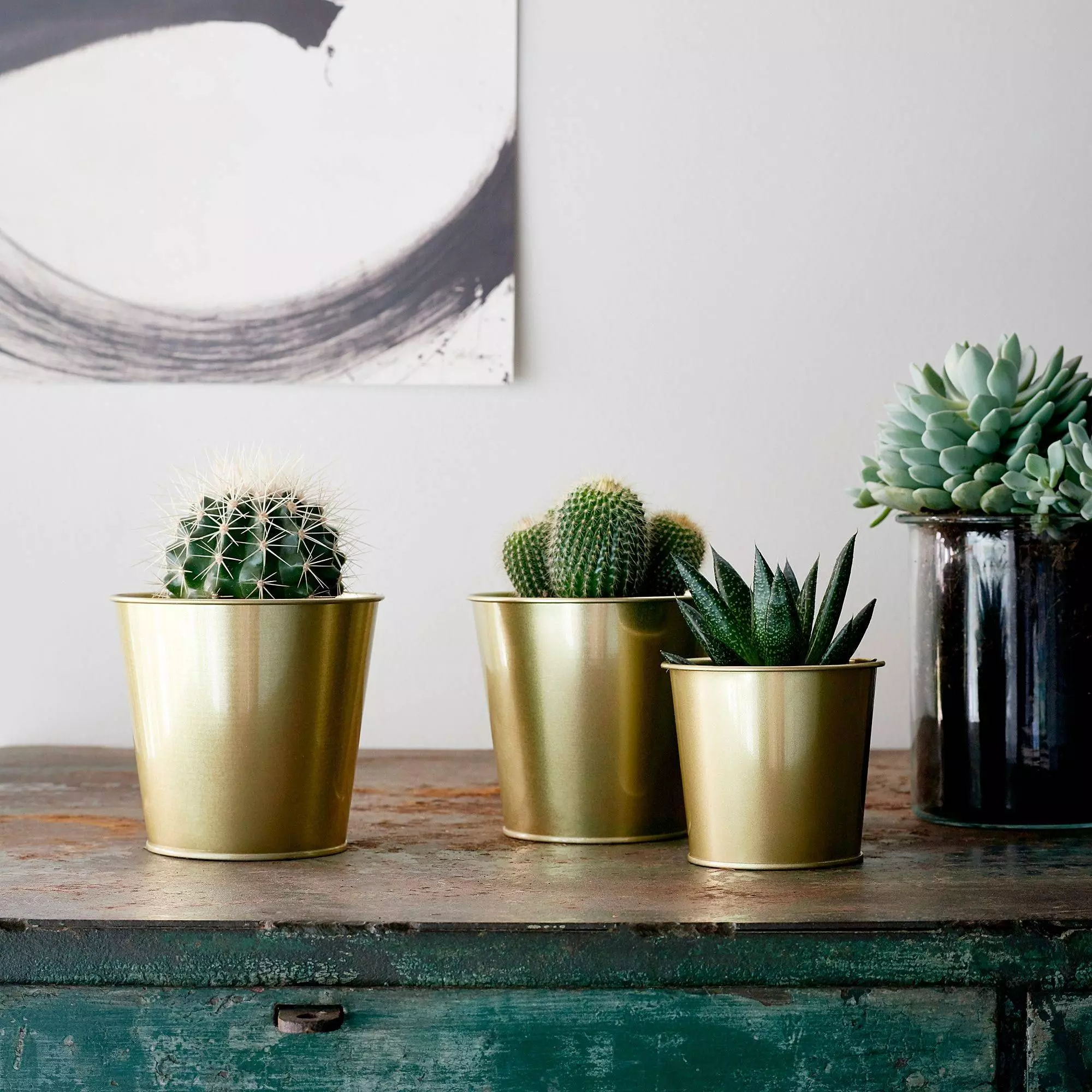 Awọn ikoko goolu pẹlu cacti ati awọn succulents