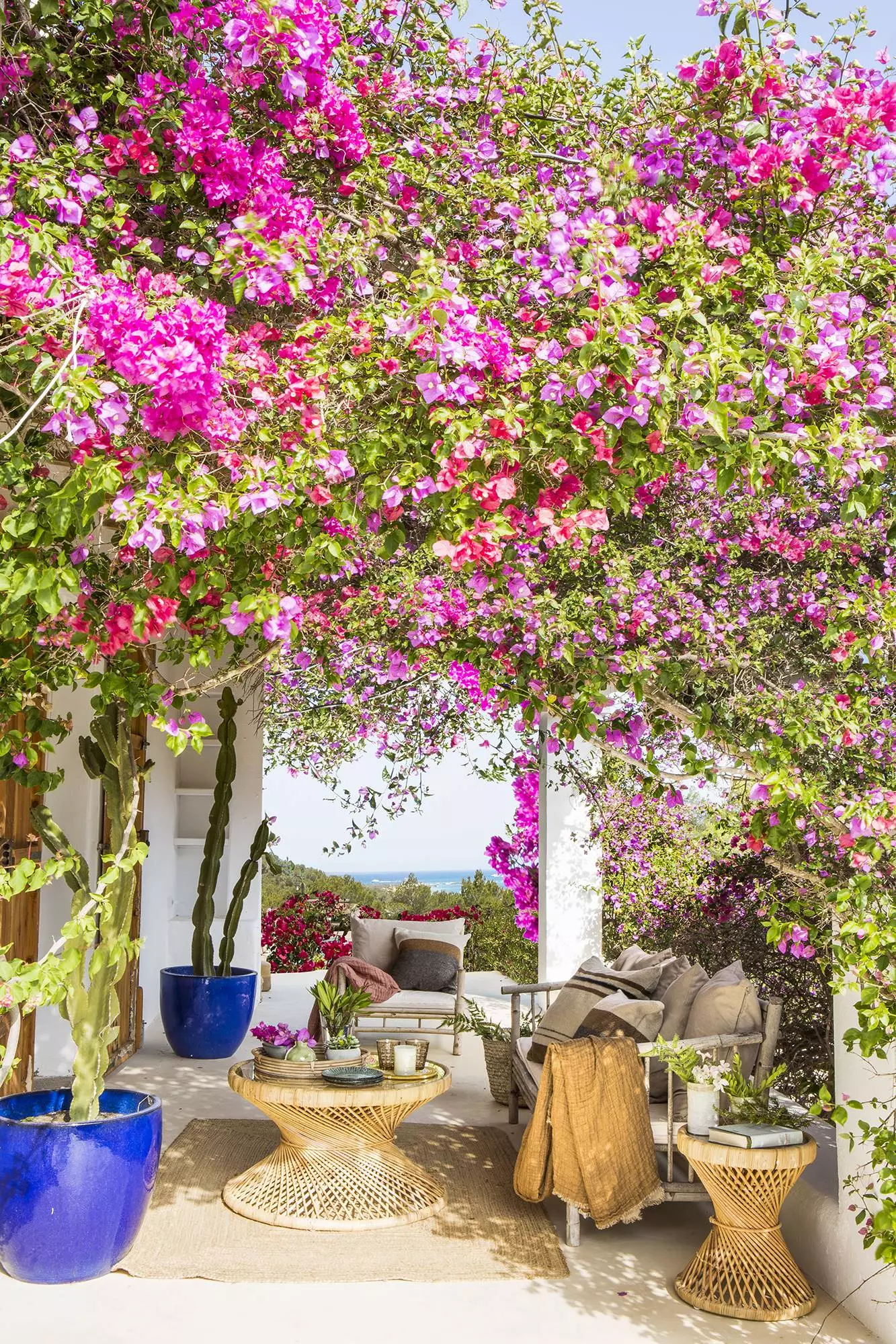 Galri blan ak bougainvillea ak opinyon lanmè