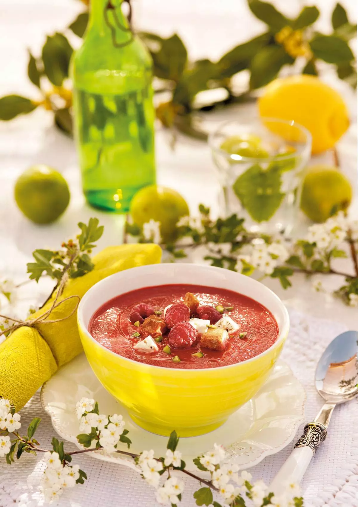 Gaspacho-aux-fruits-rouges00383981