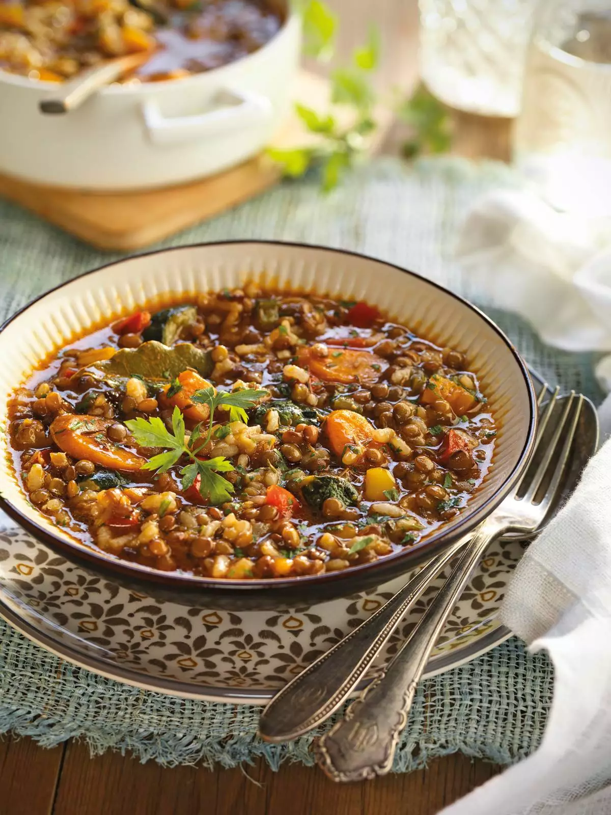 lentils-stew-rice-00489836