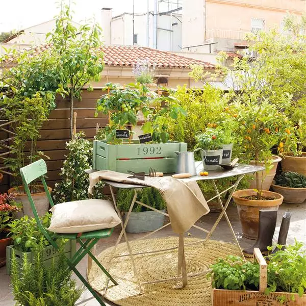 Verwandeln Sie Ihren kleinen Balkon in einen Garten