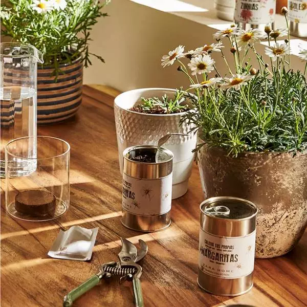 Ens encanten les novetats de jardineria de Zara Home