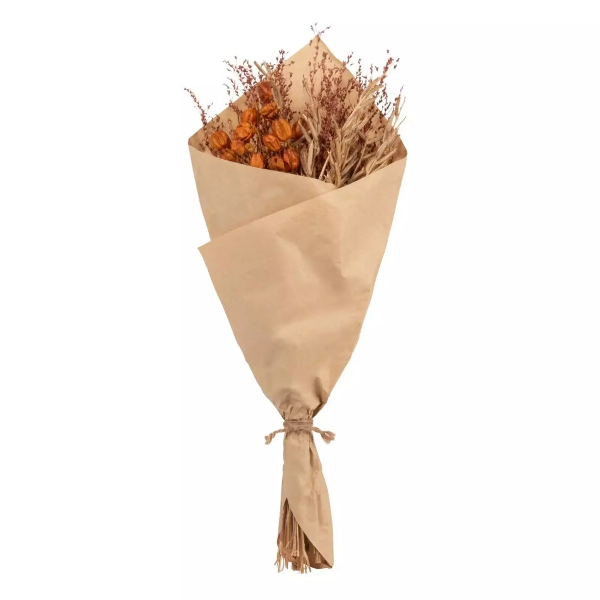 bouquet-of-dried-nigellas-terracotta-1000-16-22-207892_1 Maisons du monde