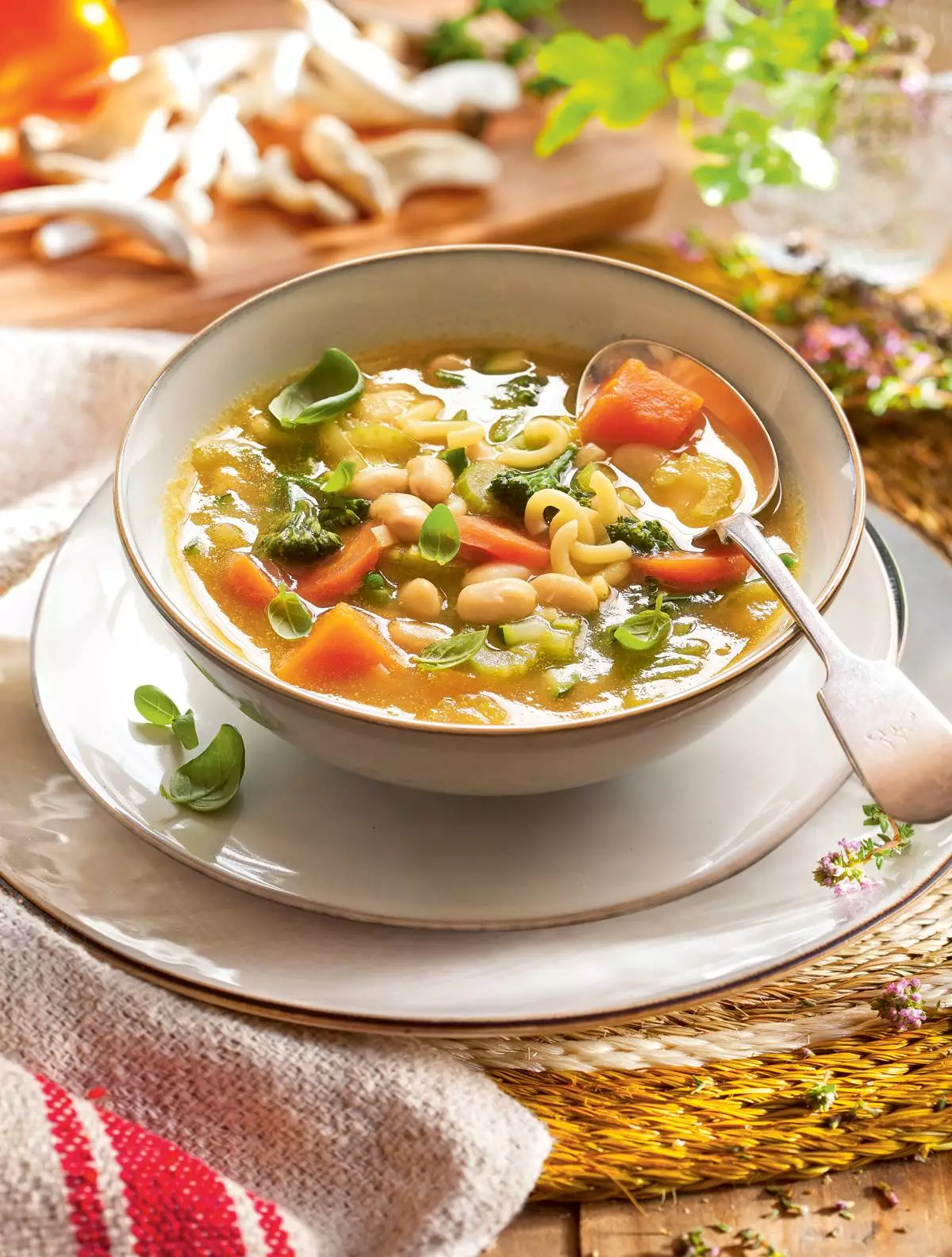 sağlıklı-akşam yemeği-minestrone-çorbası-00493082