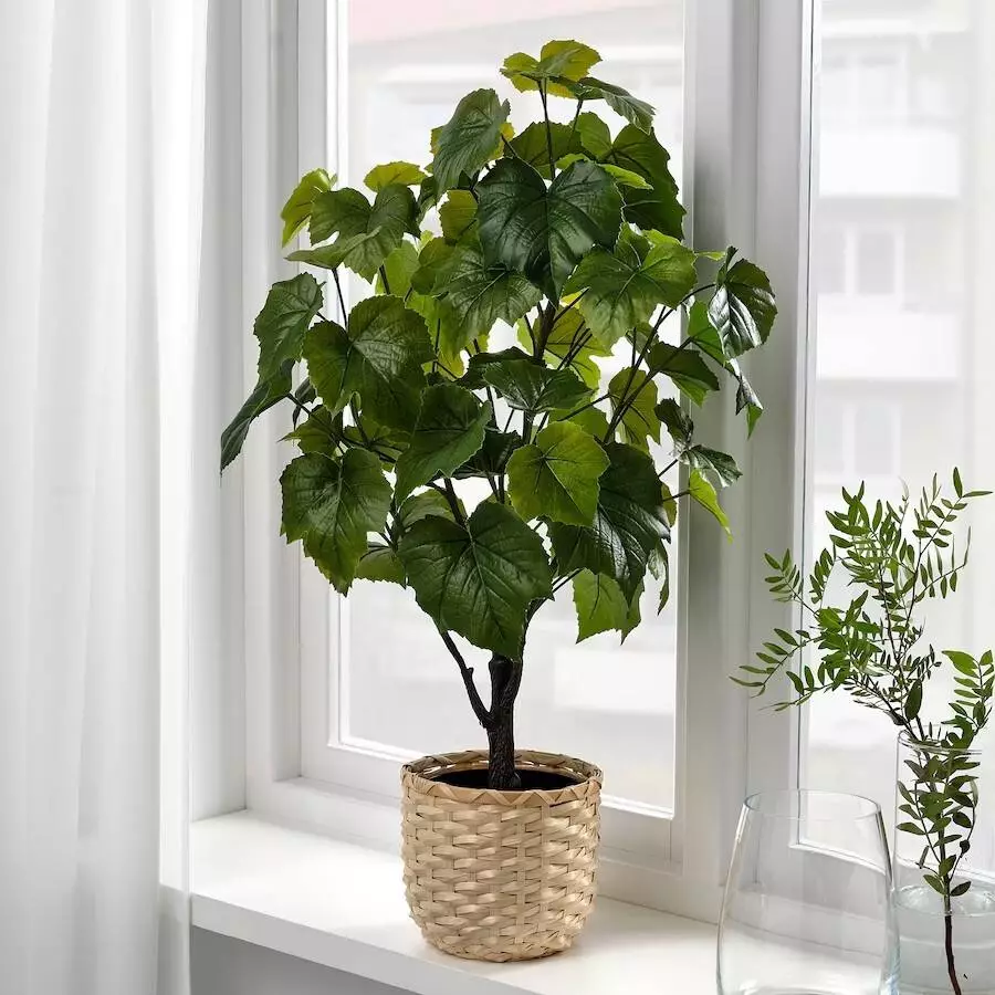 Hvordan dekorere et IKEA-rom for 1000 euro. Fejka kunstig plante.