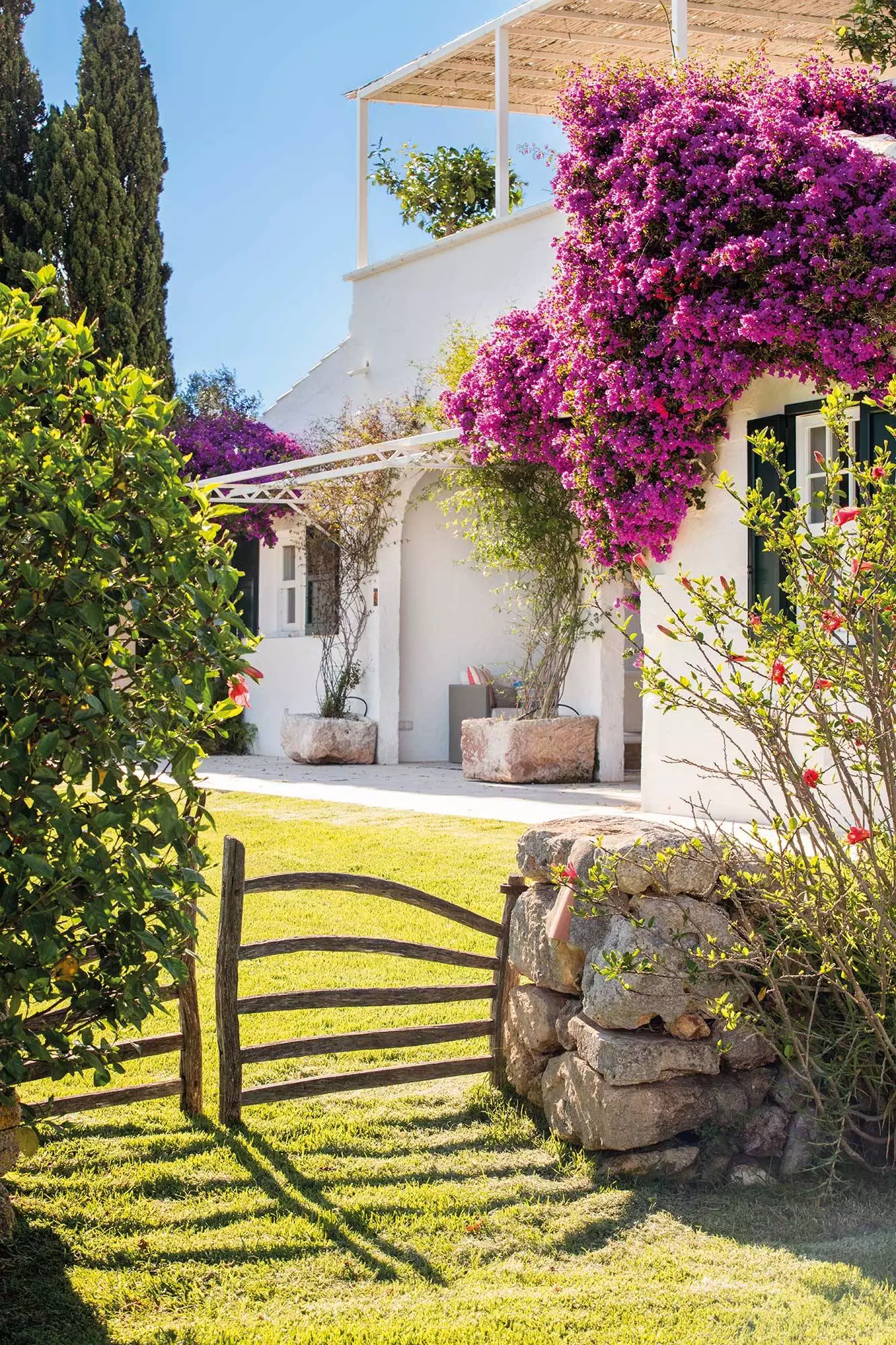 Eksteriør av hvitt sommerhus med bougainvillea 00487171