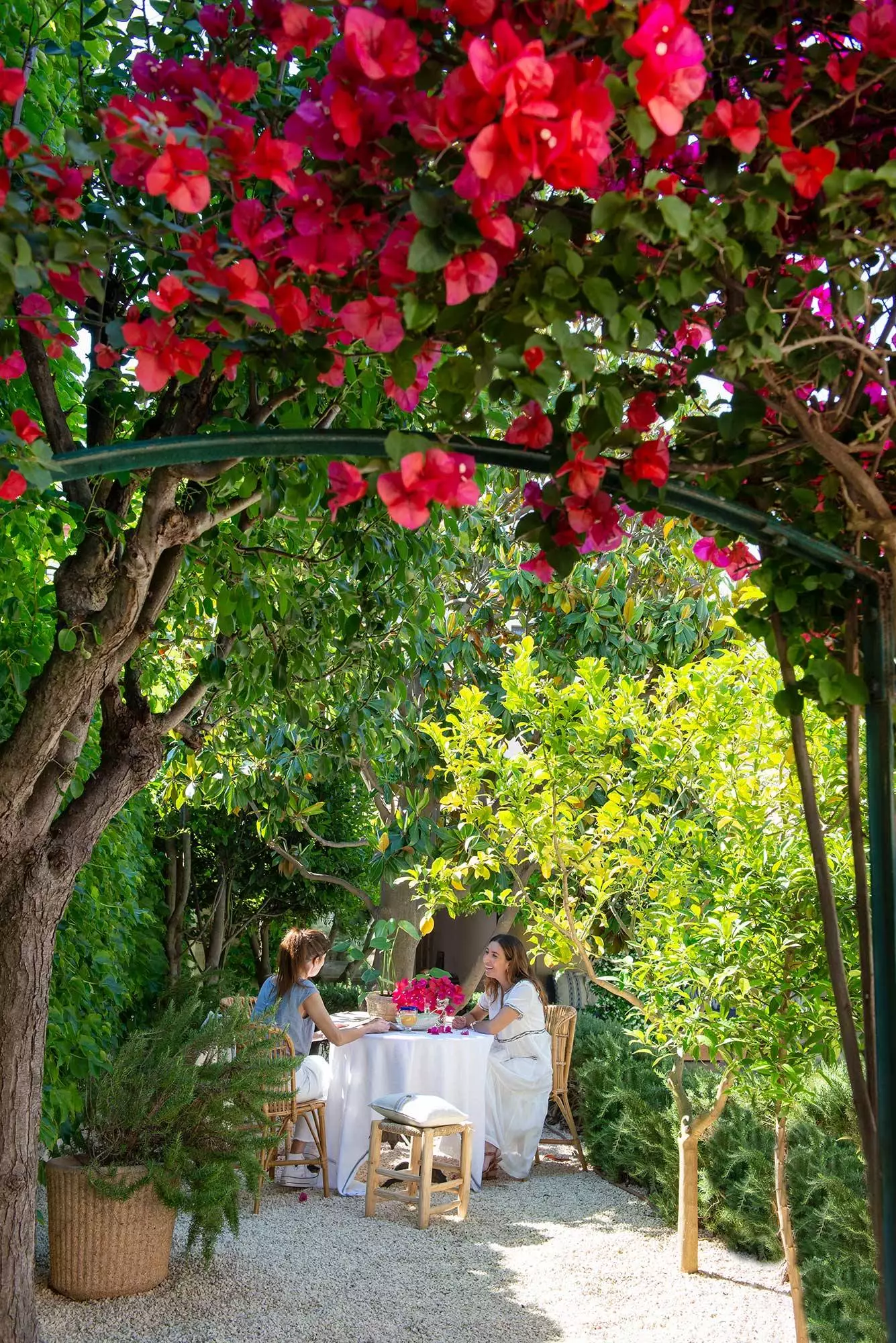 Giardino con tavolo, due donne e arco di bouganville 00528814 O